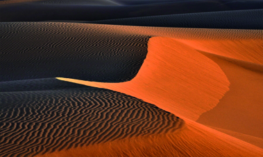 Excursion to the Central Desert and National park of Kavir(3 days/2 ...